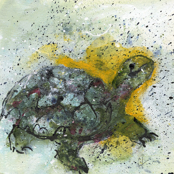Mr. Turtle – Christine Alfery's Gallery